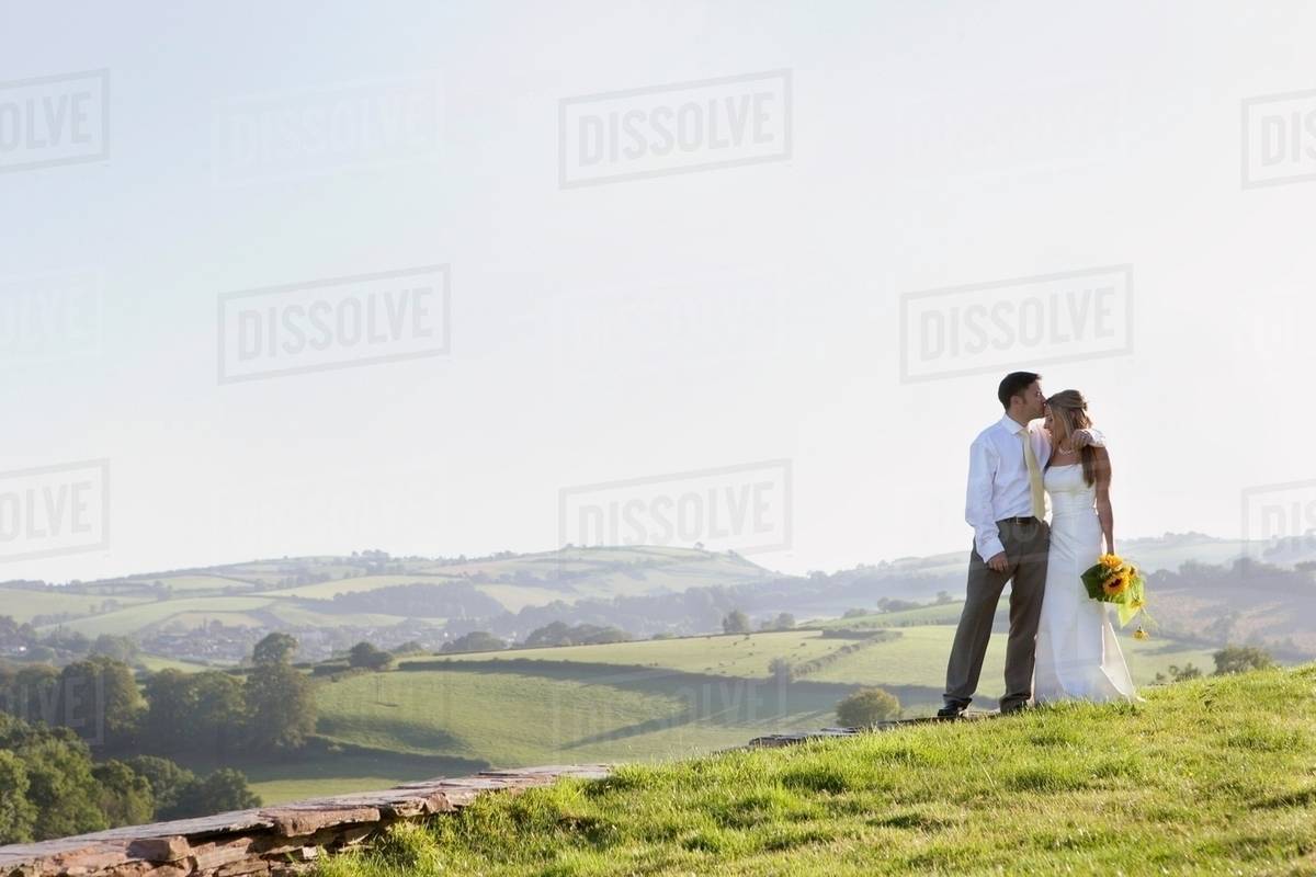 Newly weds on wedding day - Stock Photo - Dissolve