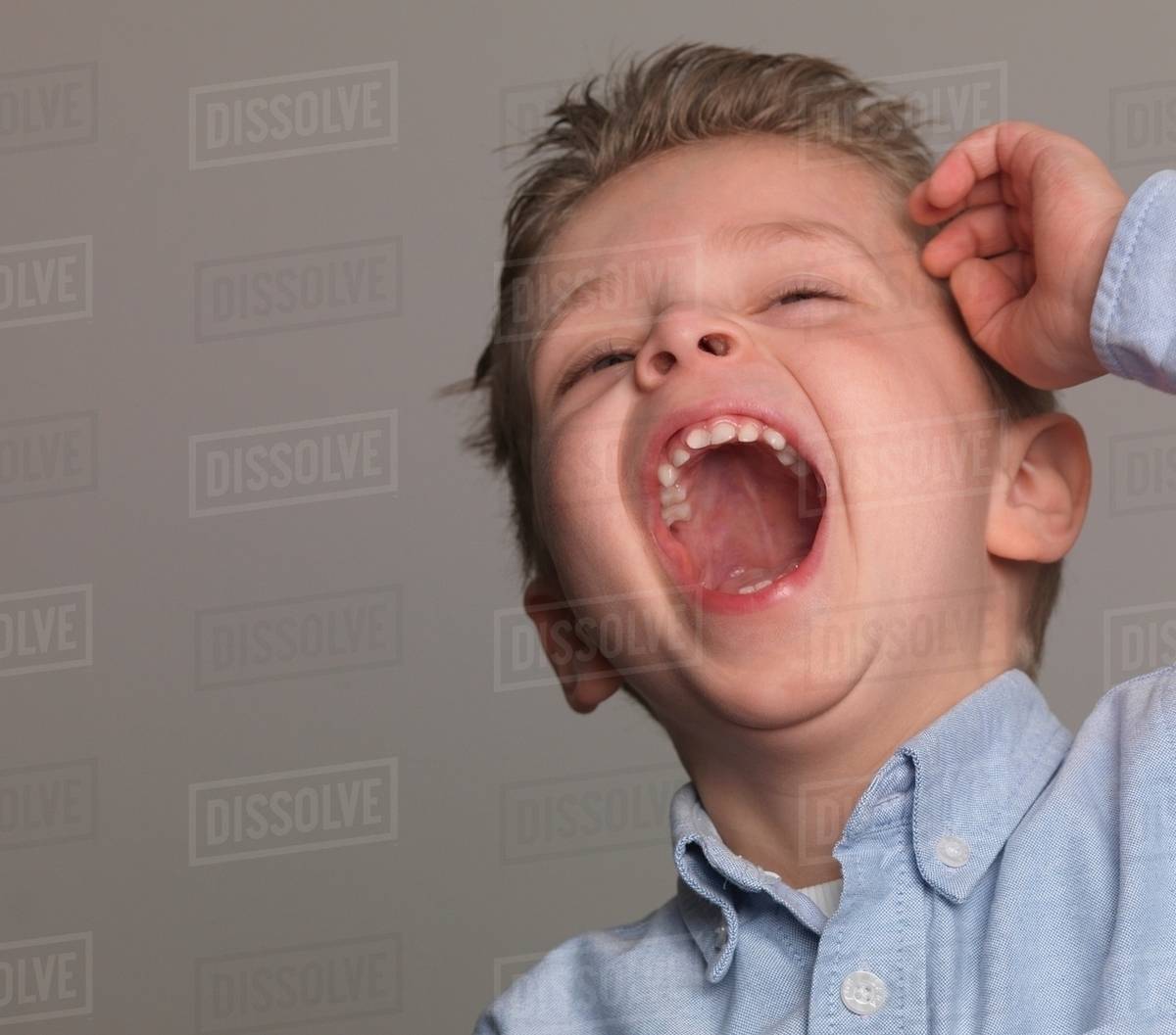 Boy laughing, portrait, close-up - Royalty-free Stock Photo | Dissolve