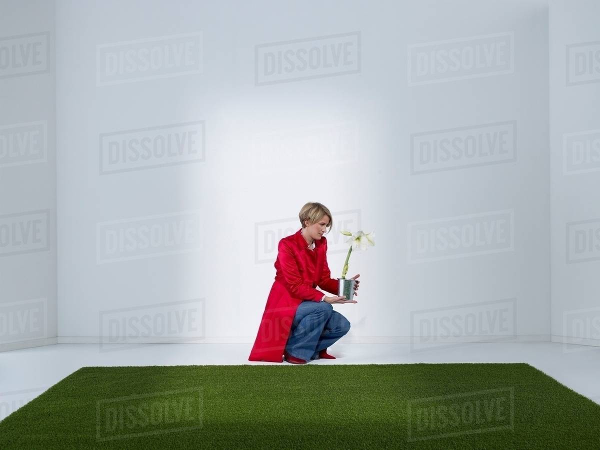 Women looking at flower in green office - Royalty-free Stock Photo ...