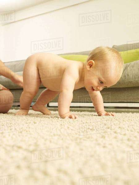 Baby trying to crawl - Stock Photo - Dissolve