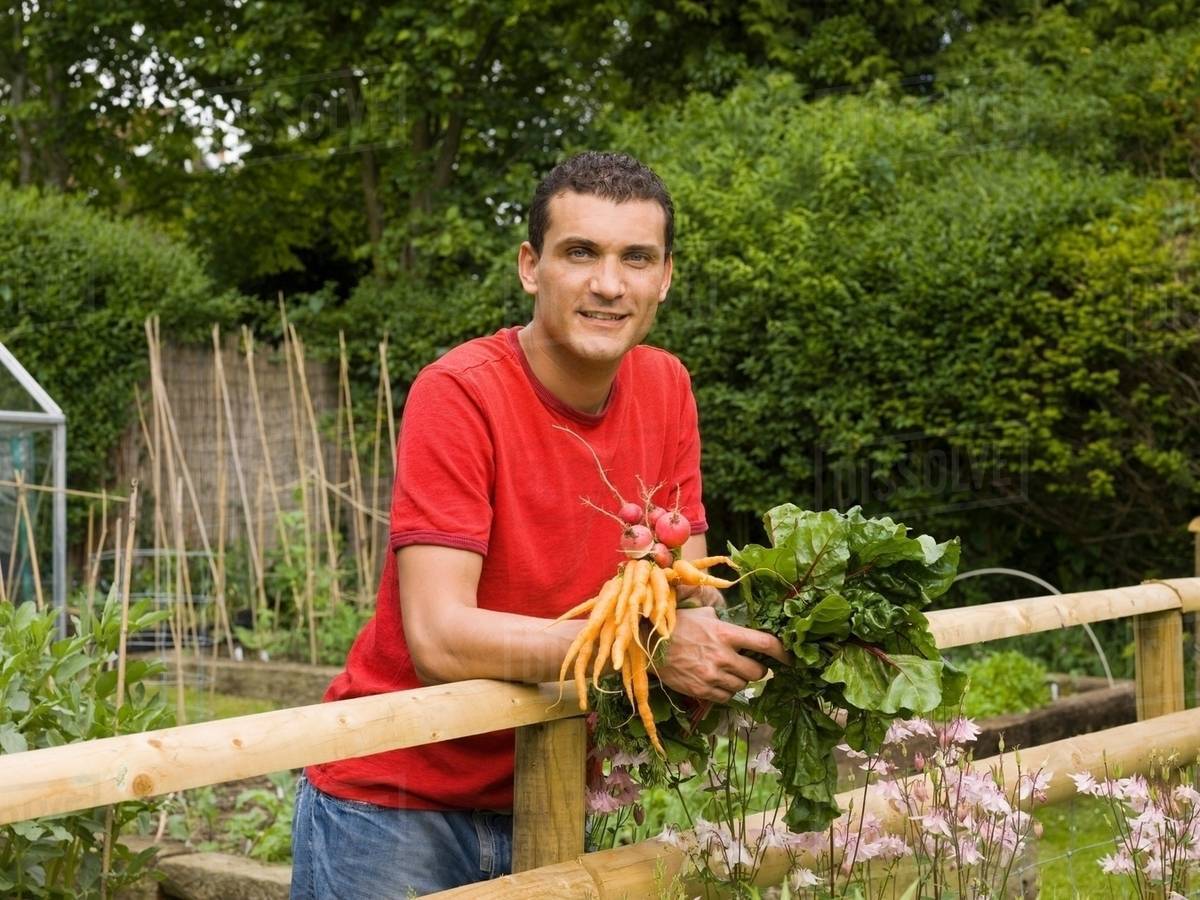Man in garden with vegetables - Stock Photo - Dissolve
