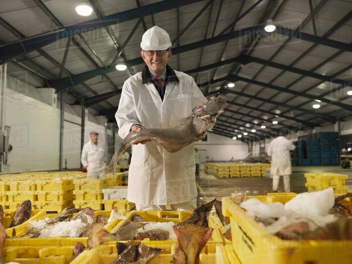Worker Holding Fish In Market - Stock Photo - Dissolve