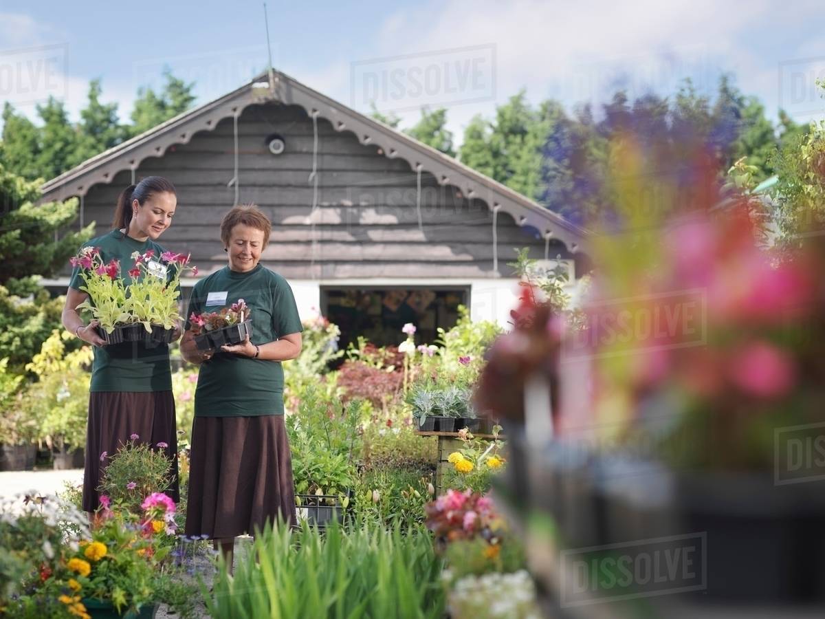 Female Workers At Garden Center - Stock Photo - Dissolve