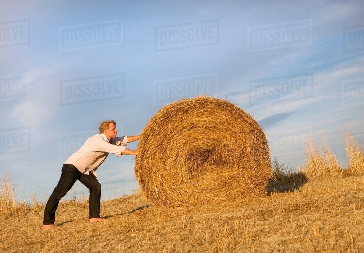 Man pushing hay bale - Royalty-free Stock Photo | Dissolve