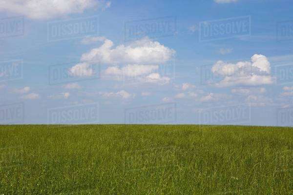 A field and sky - Royalty-free Stock Photo | Dissolve