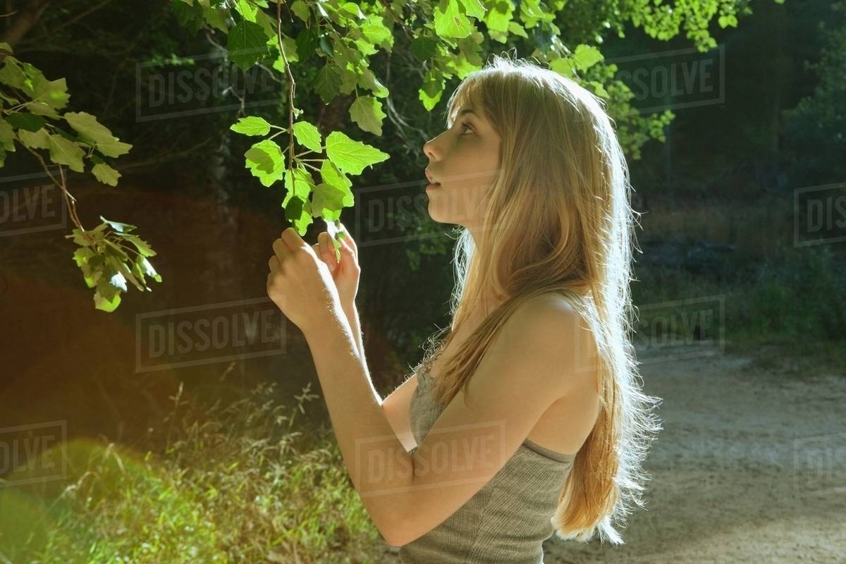 Girl looking at tree in forest - Stock Photo - Dissolve
