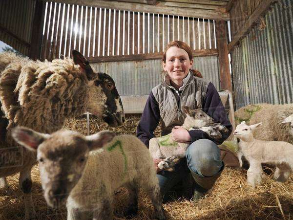 Female Farmer With Sheep & Lambs - Stock Photo - Dissolve
