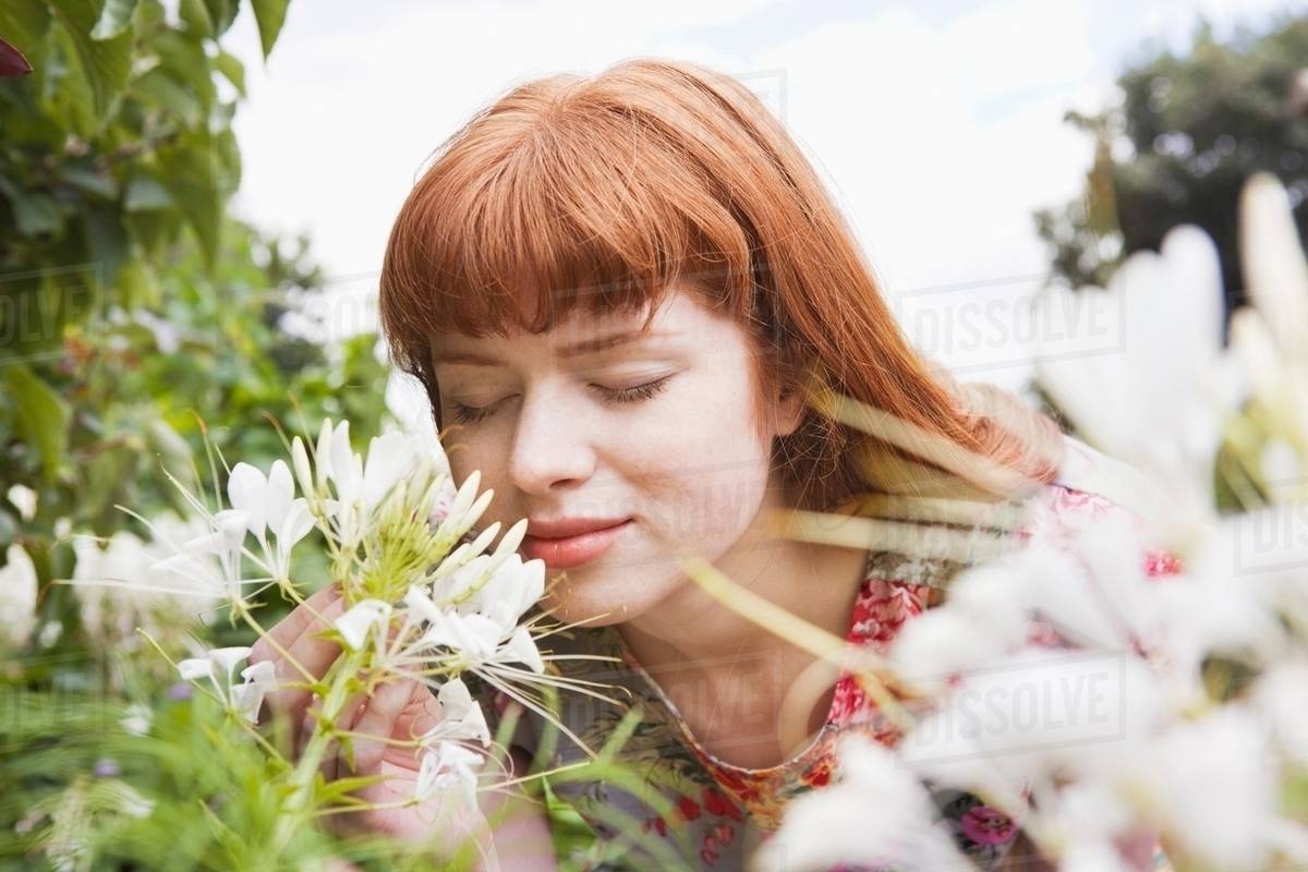 Close up of woman smelling flowers - Stock Photo - Dissolve