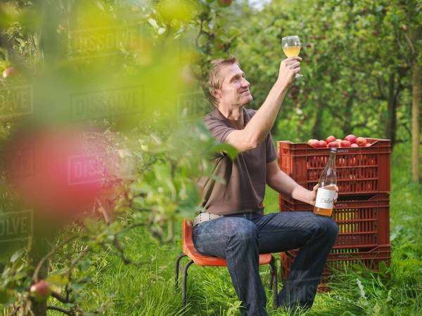Farmer drinking cider in orchard - Stock Photo - Dissolve