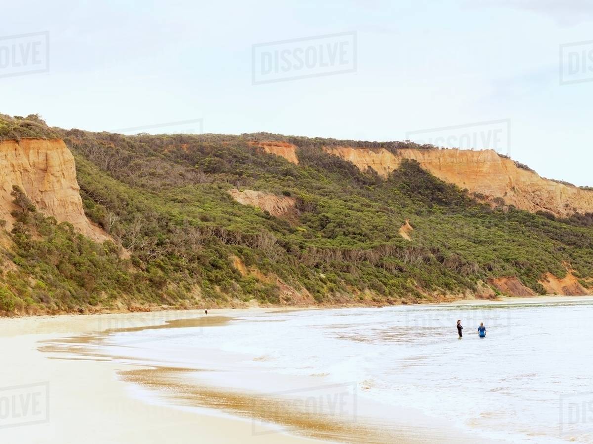 View of sea and beach, Point Addis National Park, Anglesea, Australia ...