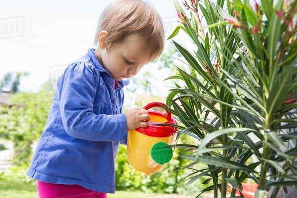 Female toddler watering plants with toy watering can in garden ...