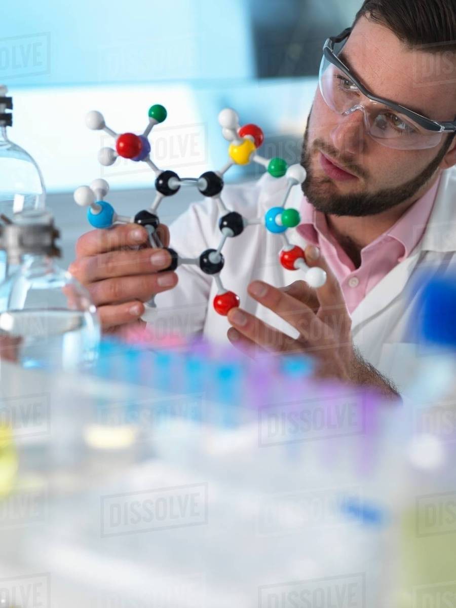 Scientist examining molecular model structure in laboratory - Stock ...