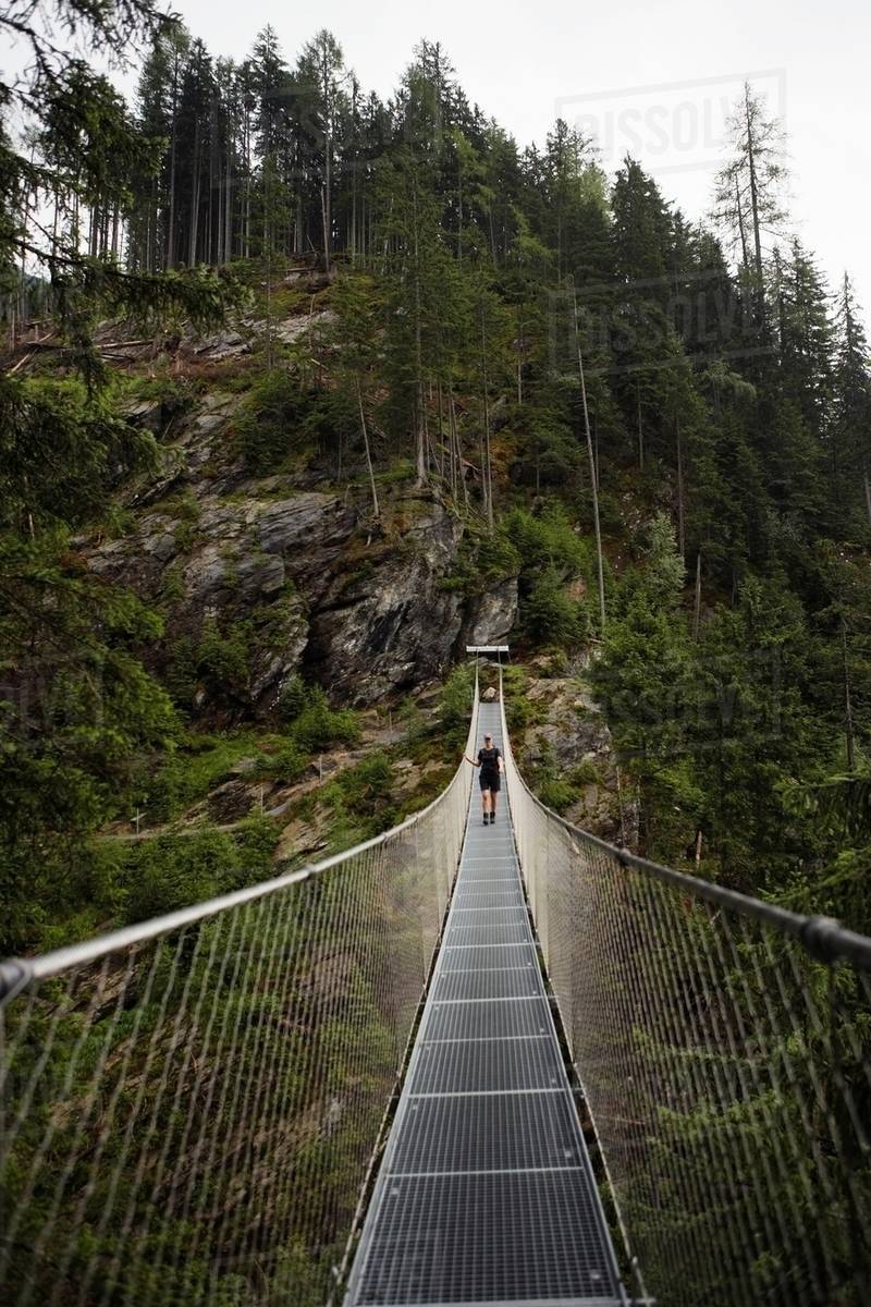 Rope bridge over forest - Royalty-free Stock Photo | Dissolve