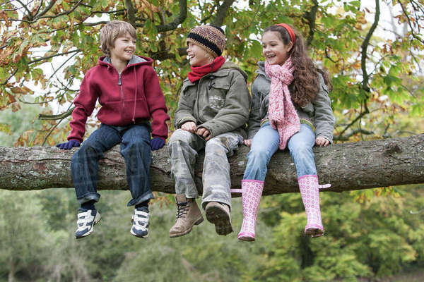 Three children sitting on tree branch, smiling - Royalty-free Stock ...