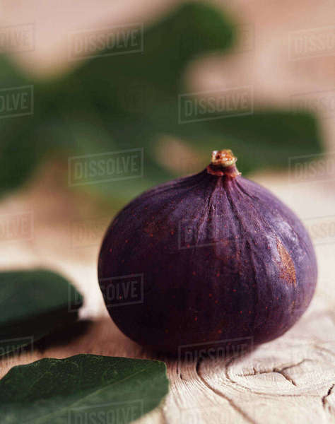 Fig, close-up - Royalty-free Stock Photo | Dissolve