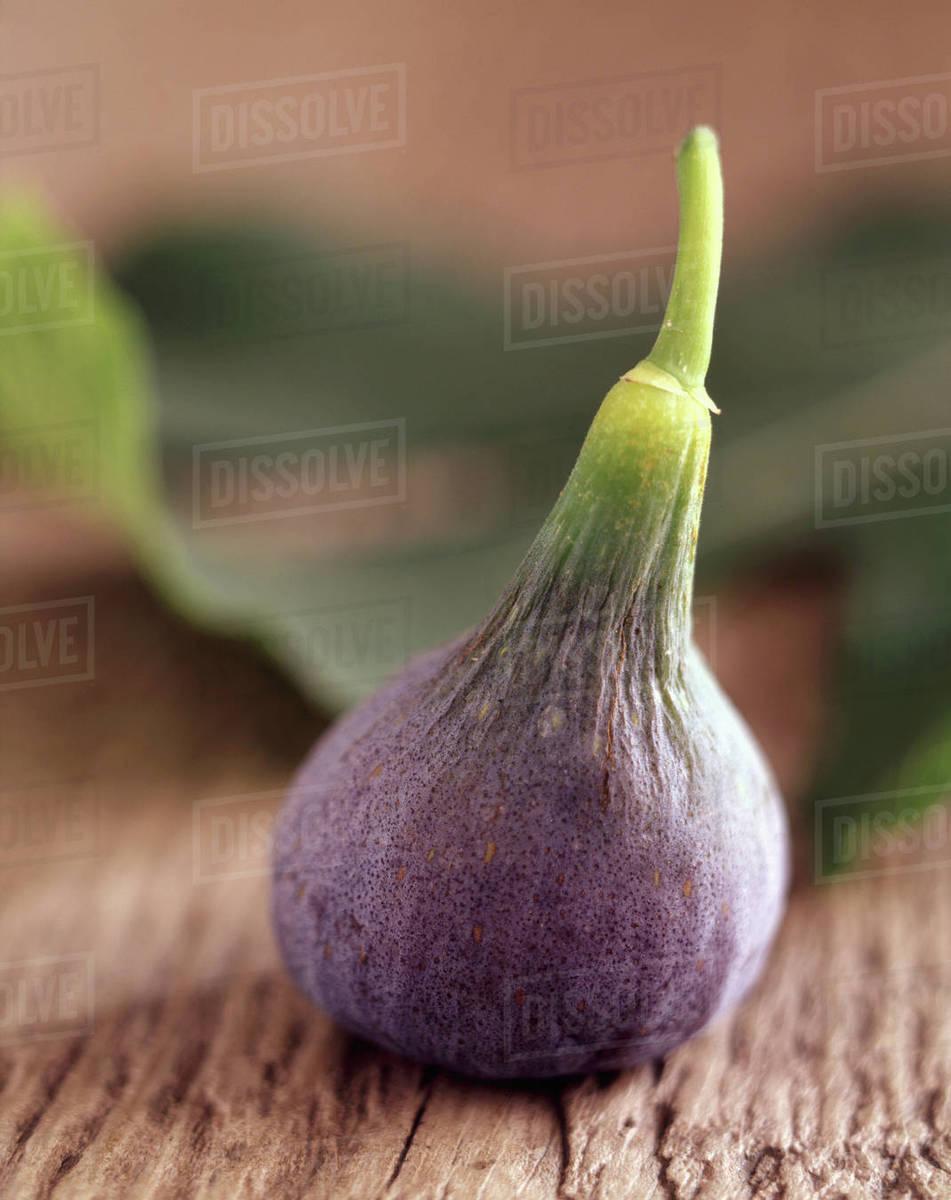 Fig, close-up - Royalty-free Stock Photo | Dissolve