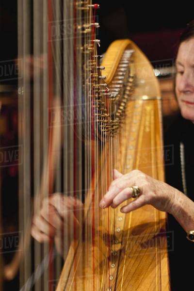 Harp player in orchestra - Royalty-free Stock Photo | Dissolve