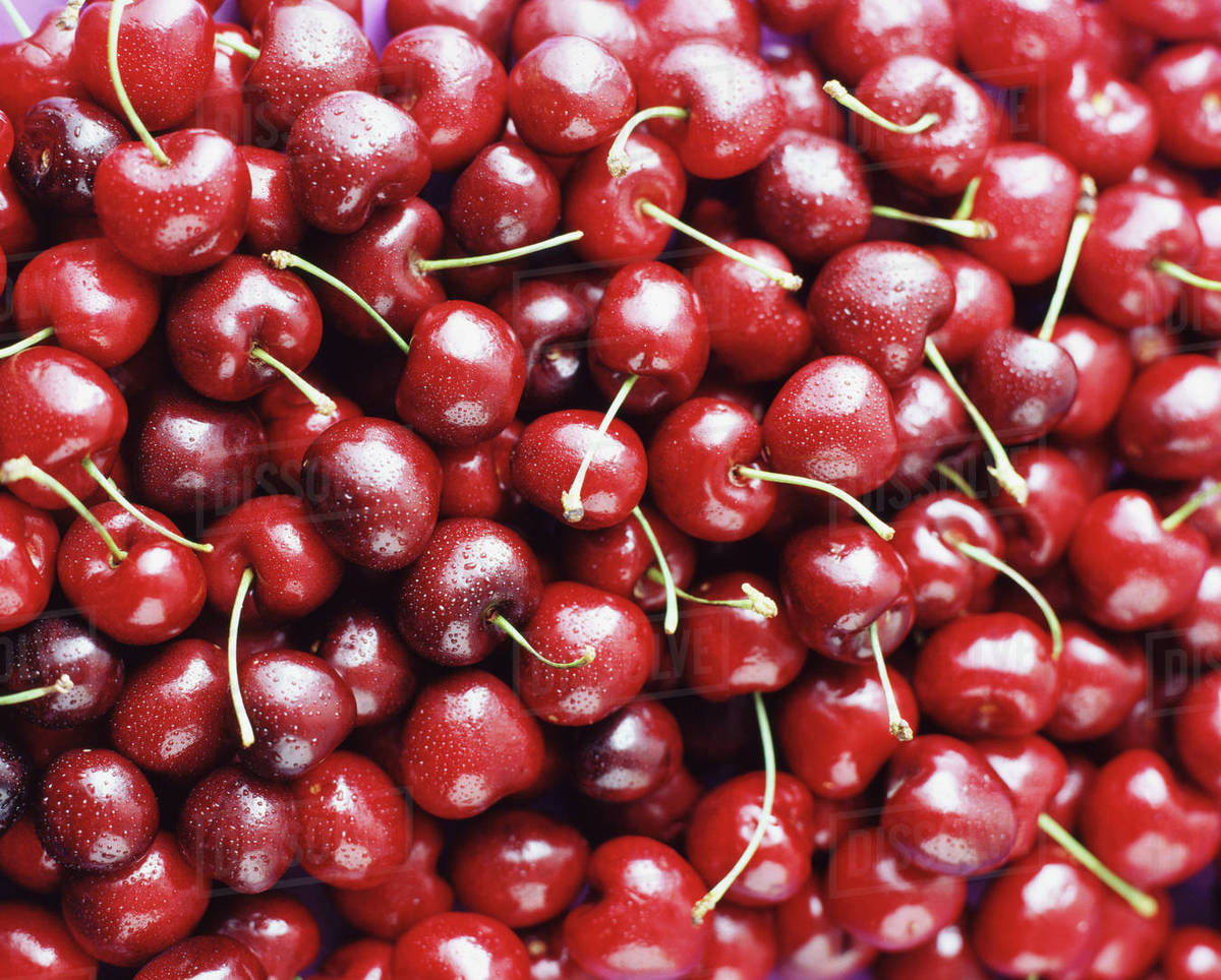 Food, fruit, cherries - Royalty-free Stock Photo | Dissolve