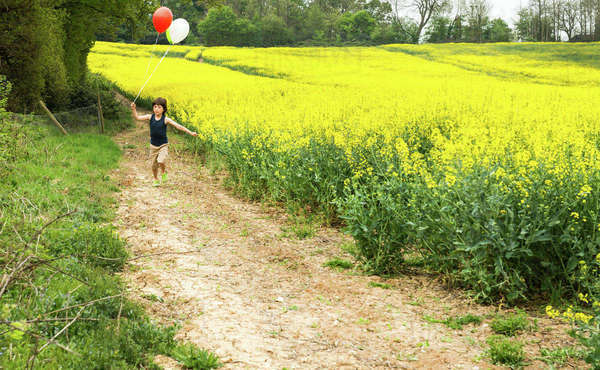 Boy running along yellow flower field track pulling red and white ...