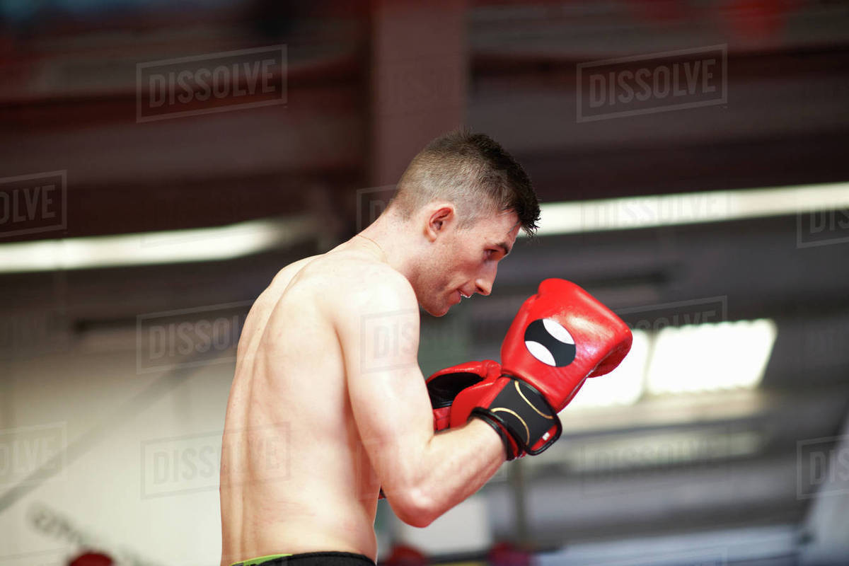 Boxer practising in boxing ring - Stock Photo - Dissolve