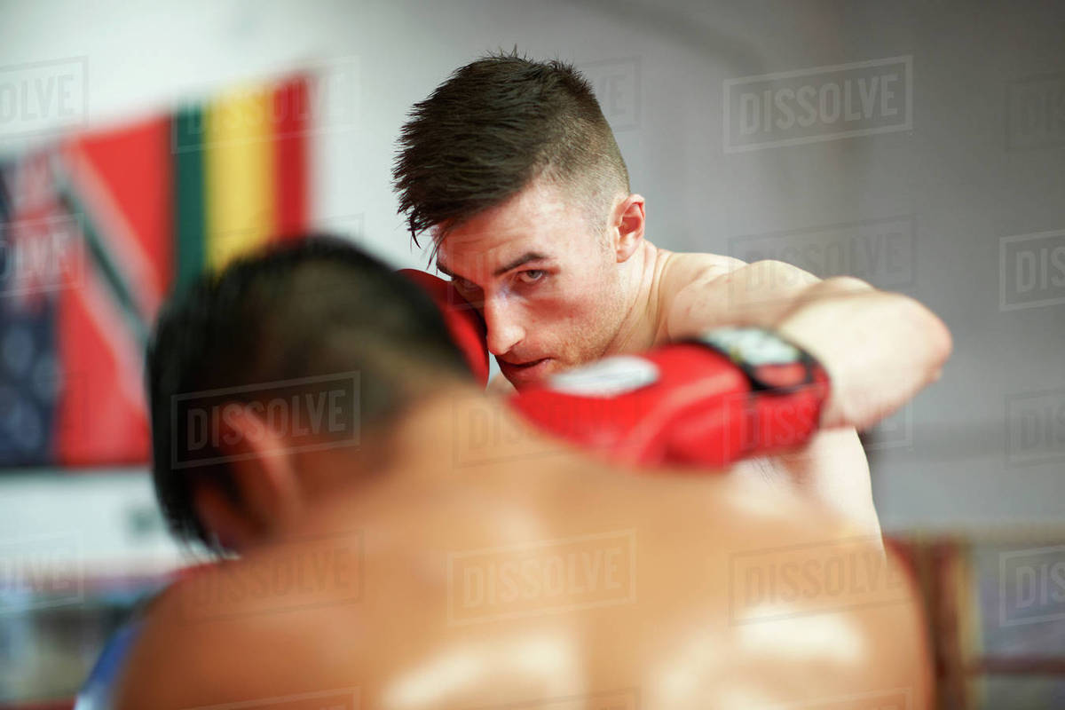 Two boxers sparring in boxing ring - Royalty-free Stock Photo | Dissolve