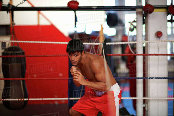 Boxer practising in boxing ring - Stock Photo - Dissolve