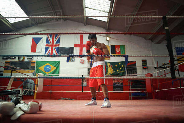 Portrait of boxer in boxing ring - Stock Photo - Dissolve