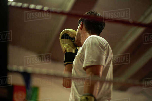 Boxer practising in boxing ring - Stock Photo - Dissolve