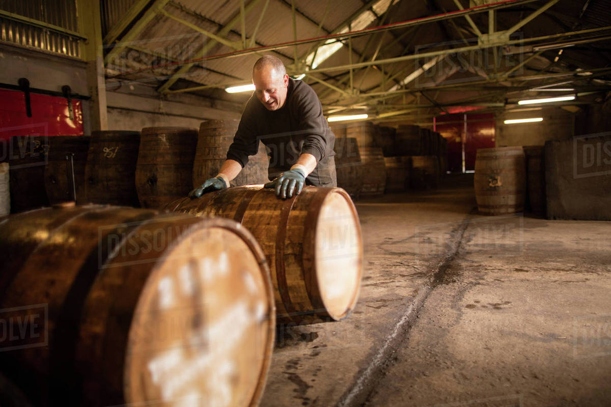 Worker rolling whisky cask in whisky distillery warehouse - Royalty ...