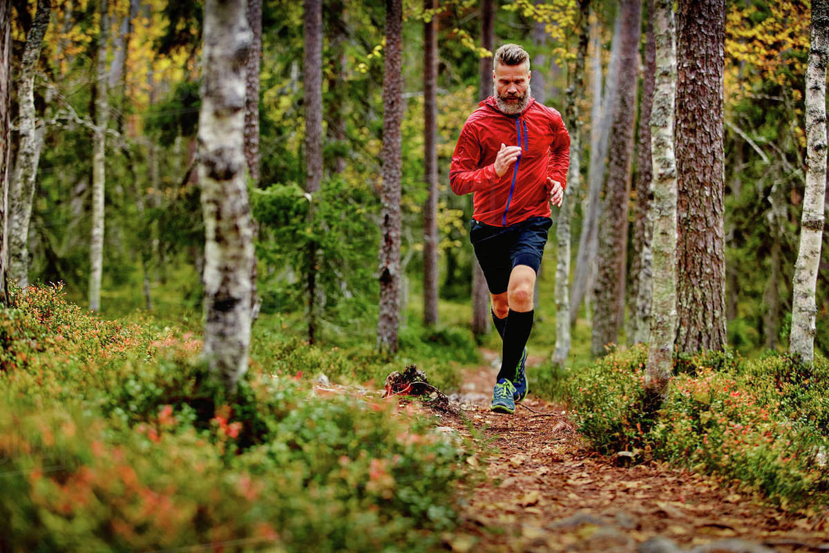 Man running in forest, Kesankitunturi, Lapland, Finland - Royalty-free ...