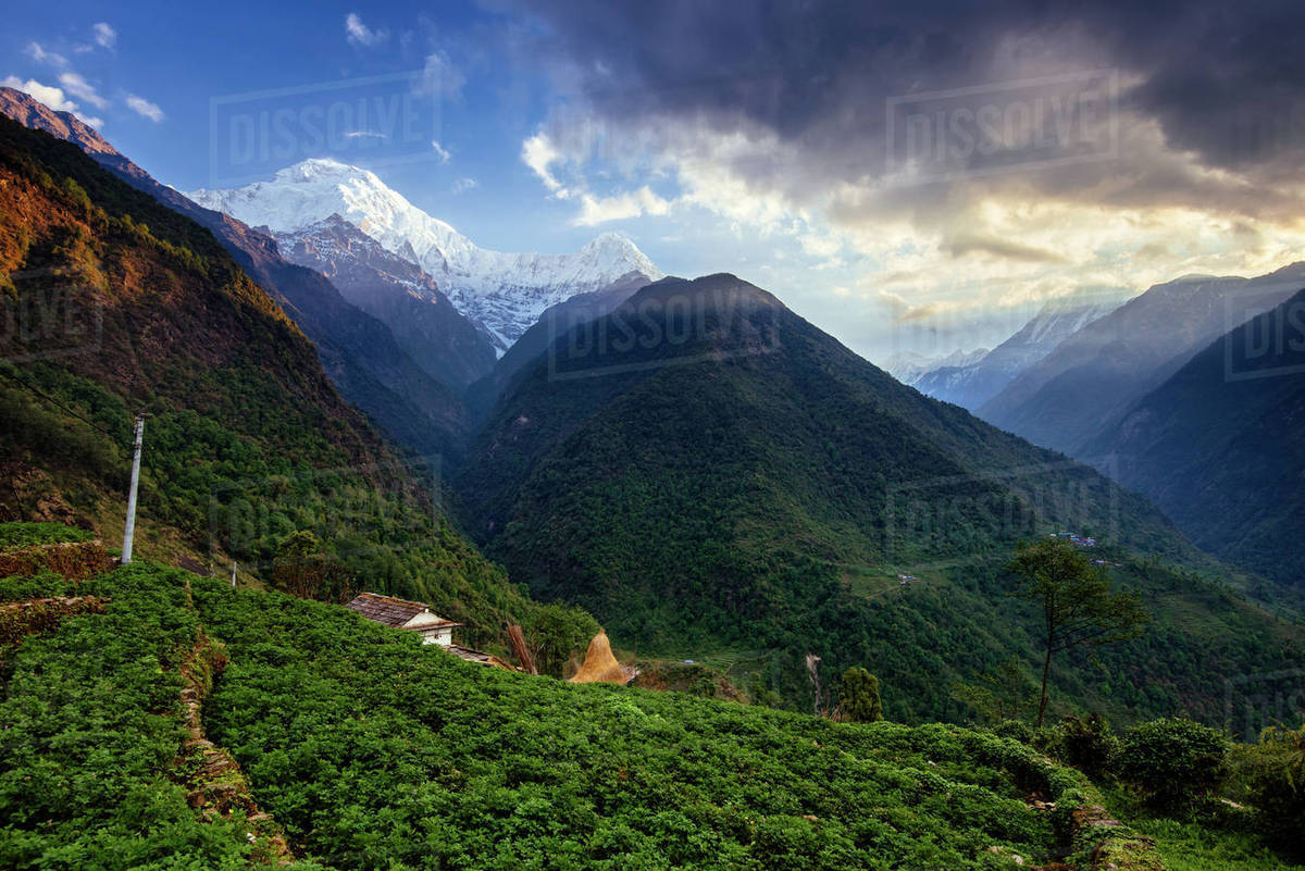 Chomrong Village Area, ABC trek (Annapurna Base Camp trek), Nepal ...