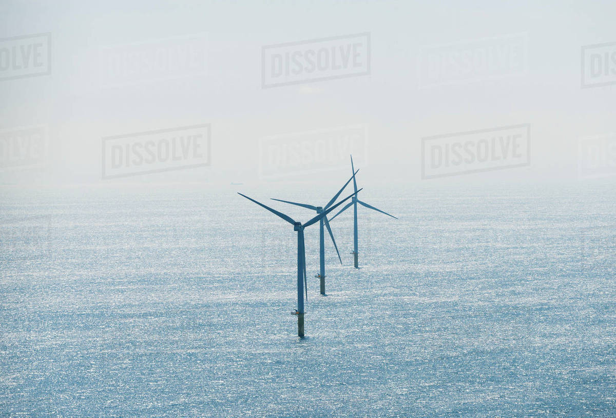 Wind turbines at Dutch offshore wind farm, IJmuiden, Netherlands ...