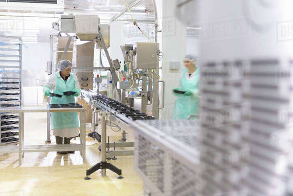 Ready-made meal production line in Asian food factory - Stock Photo ...