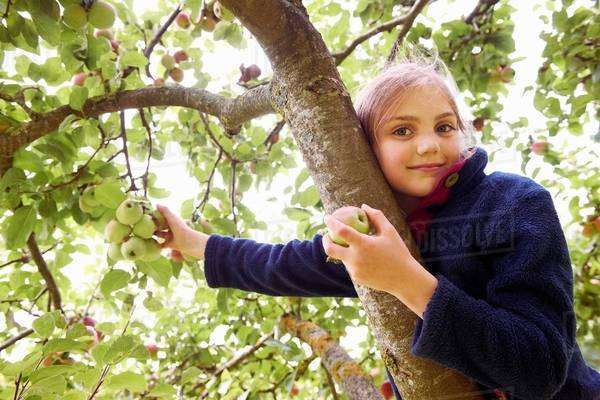 Smiling girl picking fruit from tree - Royalty-free Stock Photo | Dissolve