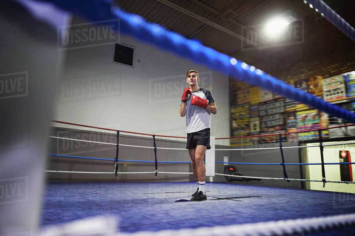 Young male boxer standing poised in boxing ring - Stock Photo - Dissolve