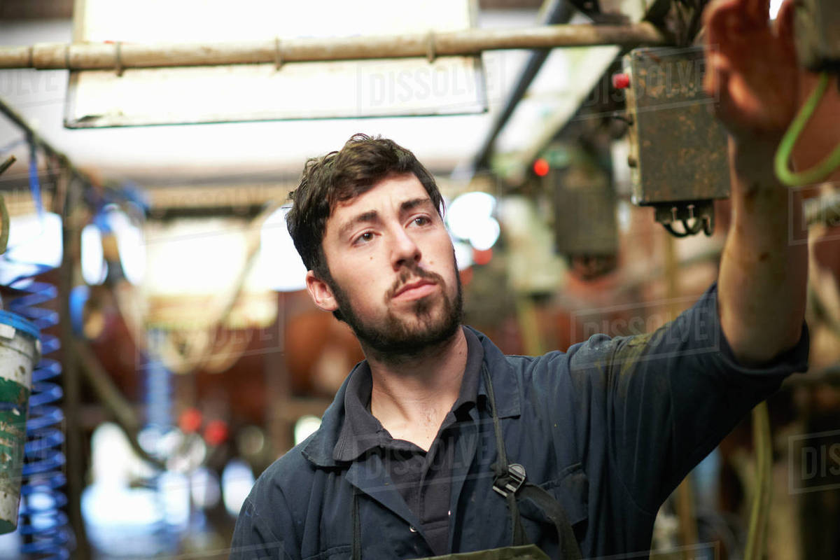 Farmer milking cows in dairy farm, using milking machines - Royalty ...