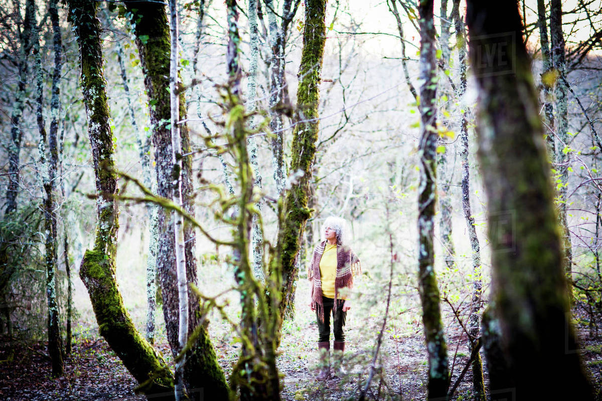 Mature woman strolling in woodland - Stock Photo - Dissolve