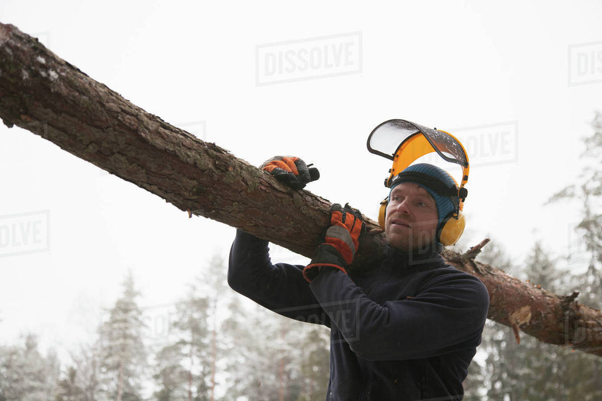 Logger carrying log, Tammela, Forssa, Finland - Royalty-free Stock ...
