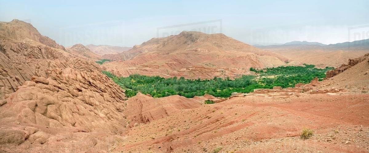 Aerial view of green oasis in desert - Stock Photo - Dissolve