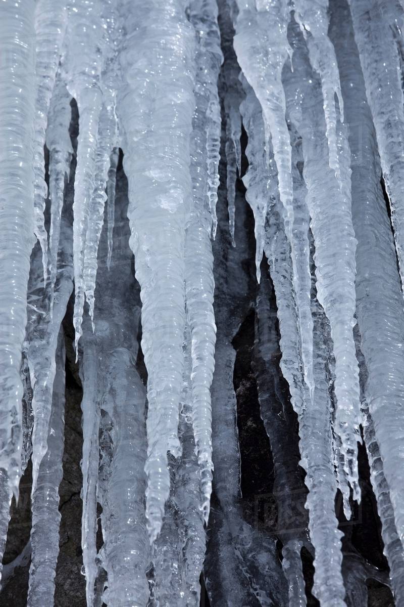 Close up of icicles - Royalty-free Stock Photo | Dissolve
