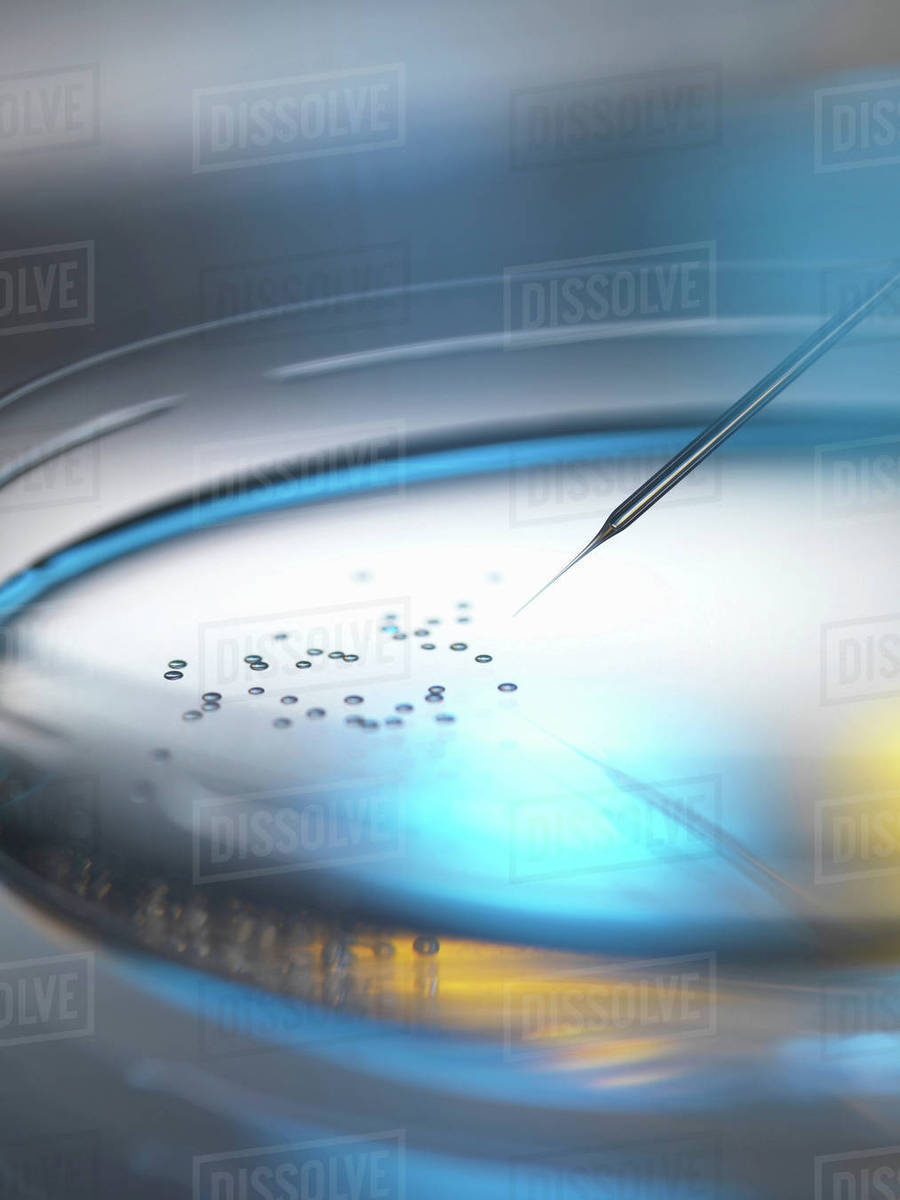 Micro pipette injecting cells in dish - Stock Photo - Dissolve