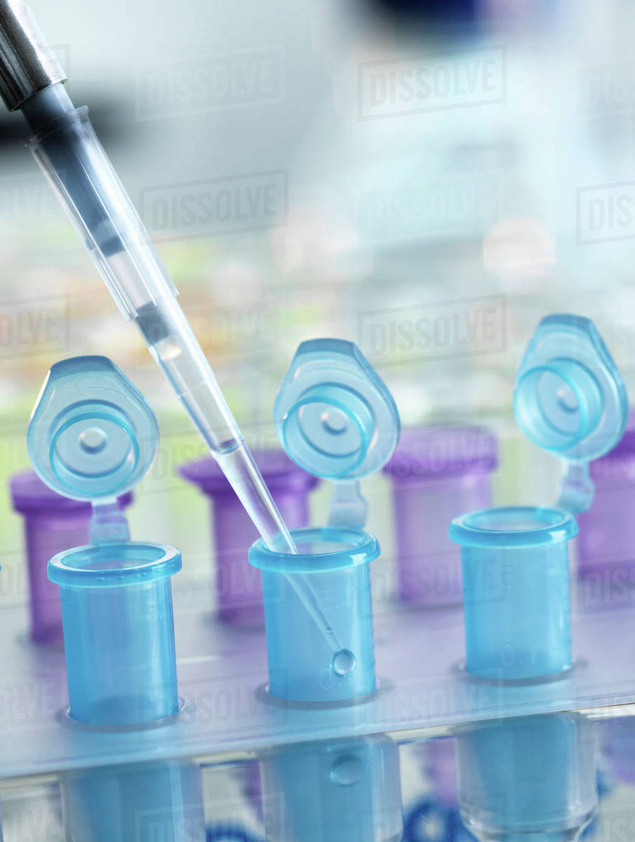 Pipetting sample into vial for testing in the laboratory - Royalty-free ...