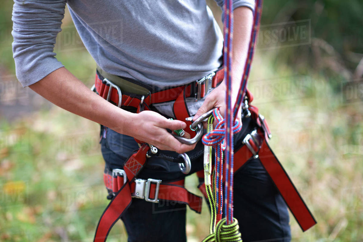 Mid section of young male trainee tree surgeon fastening safety harness ...