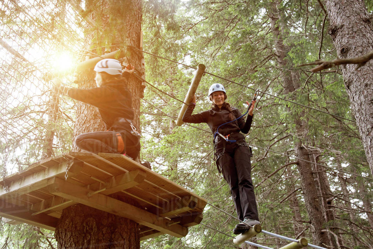 Friends in forest using high rope course - Royalty-free Stock Photo ...