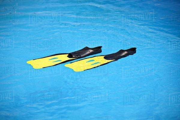 Fins floating in swimming pool - Stock Photo - Dissolve