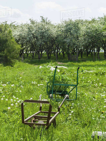 Barrow in field - Stock Photo - Dissolve