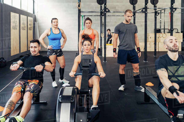People using rowing machines in in gym - Stock Photo - Dissolve