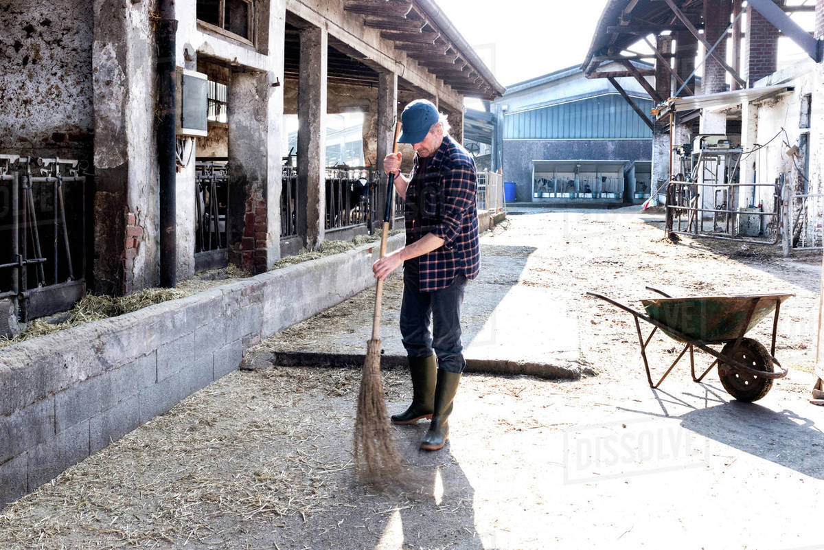 Dairy farm worker sweeping farm yard - Royalty-free Stock Photo | Dissolve