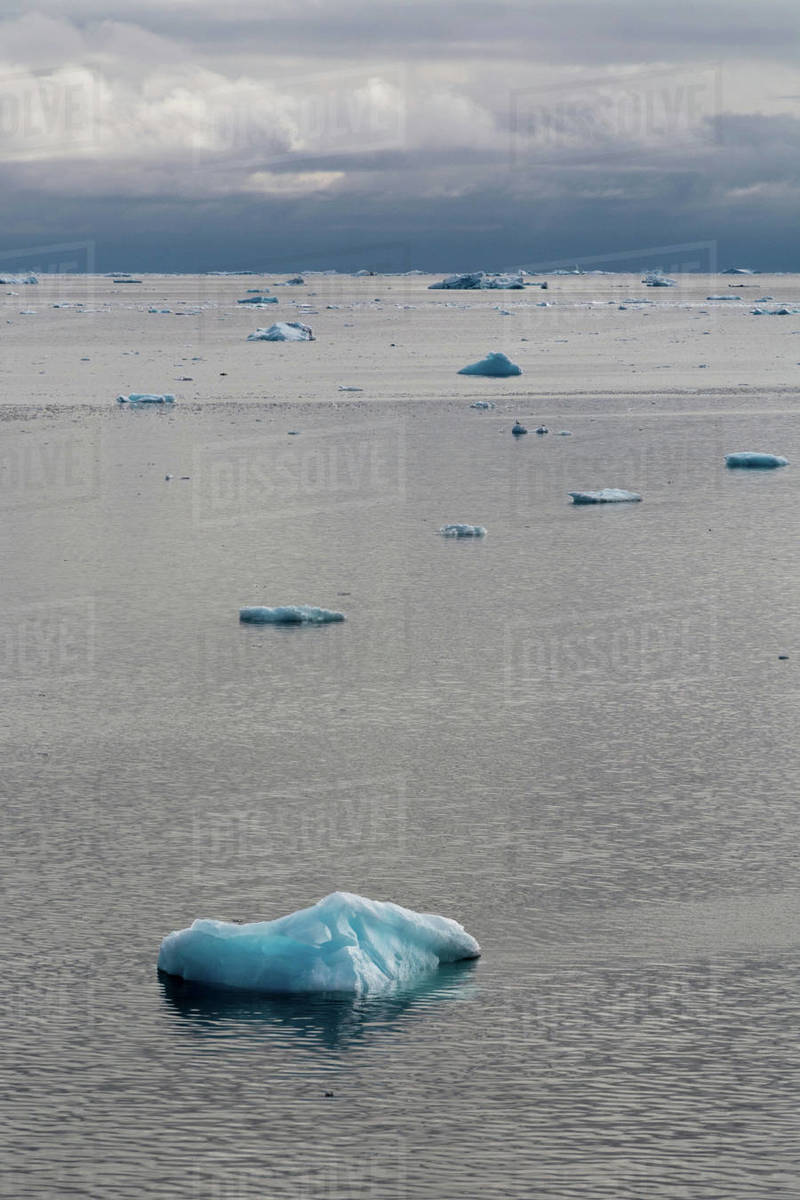 Arctic ocean ice floe seascape, Erik Eriksenstretet strait separating ...