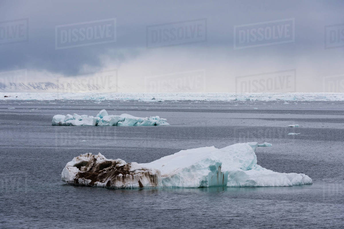 Arctic ocean ice floe seascape, Erik Eriksenstretet strait separating ...